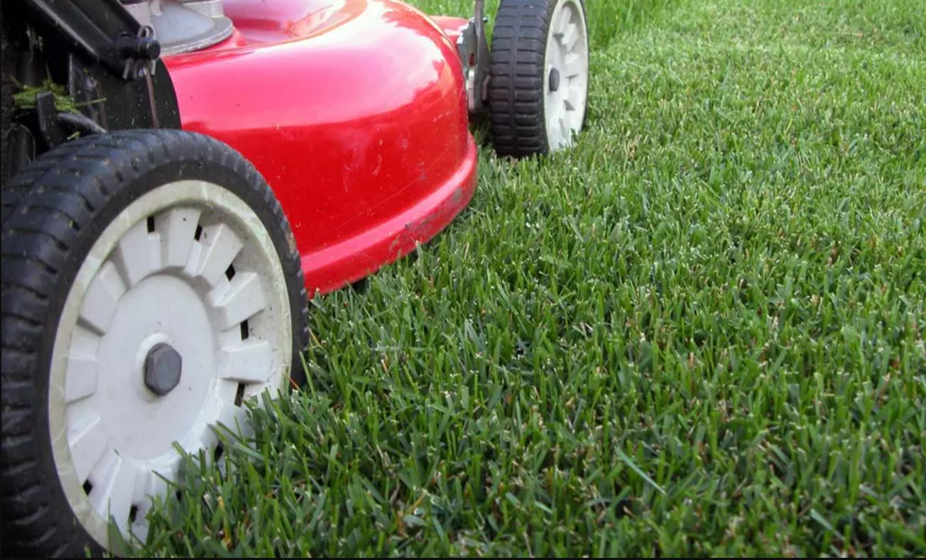 Revive Your Lawn with a Slice Seeder - Home Expressions